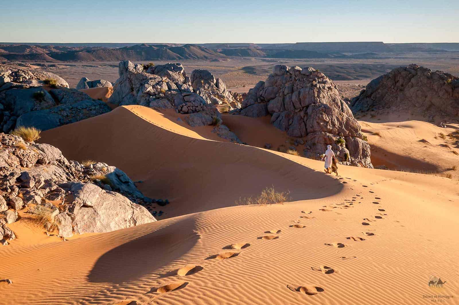 Jacob en séjour à Bethel (Genèse 35) - Etudier La Bible